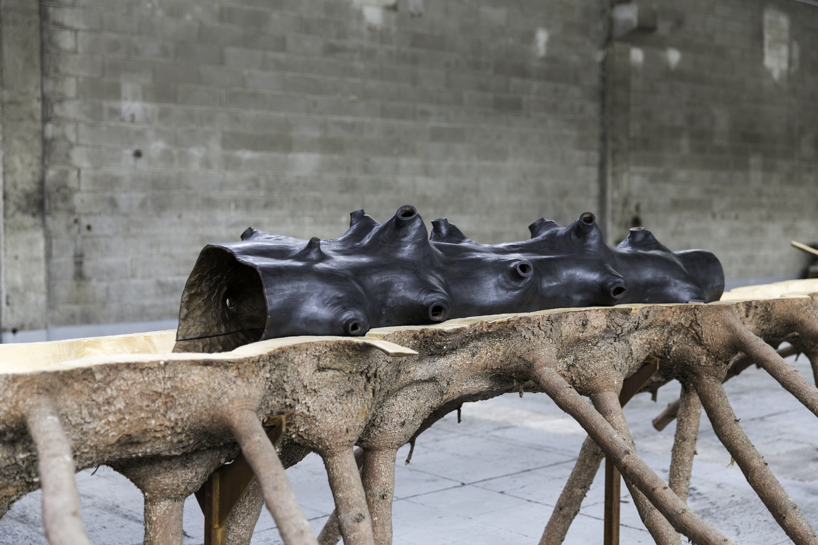 Giuseppe Penone: Incidences of the Void - Castello di Rivoli