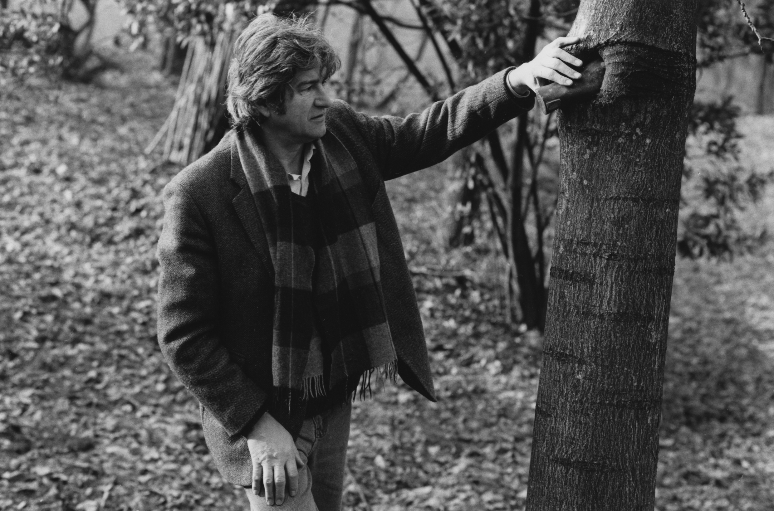La donazione | Giuseppe Penone - Castello di Rivoli