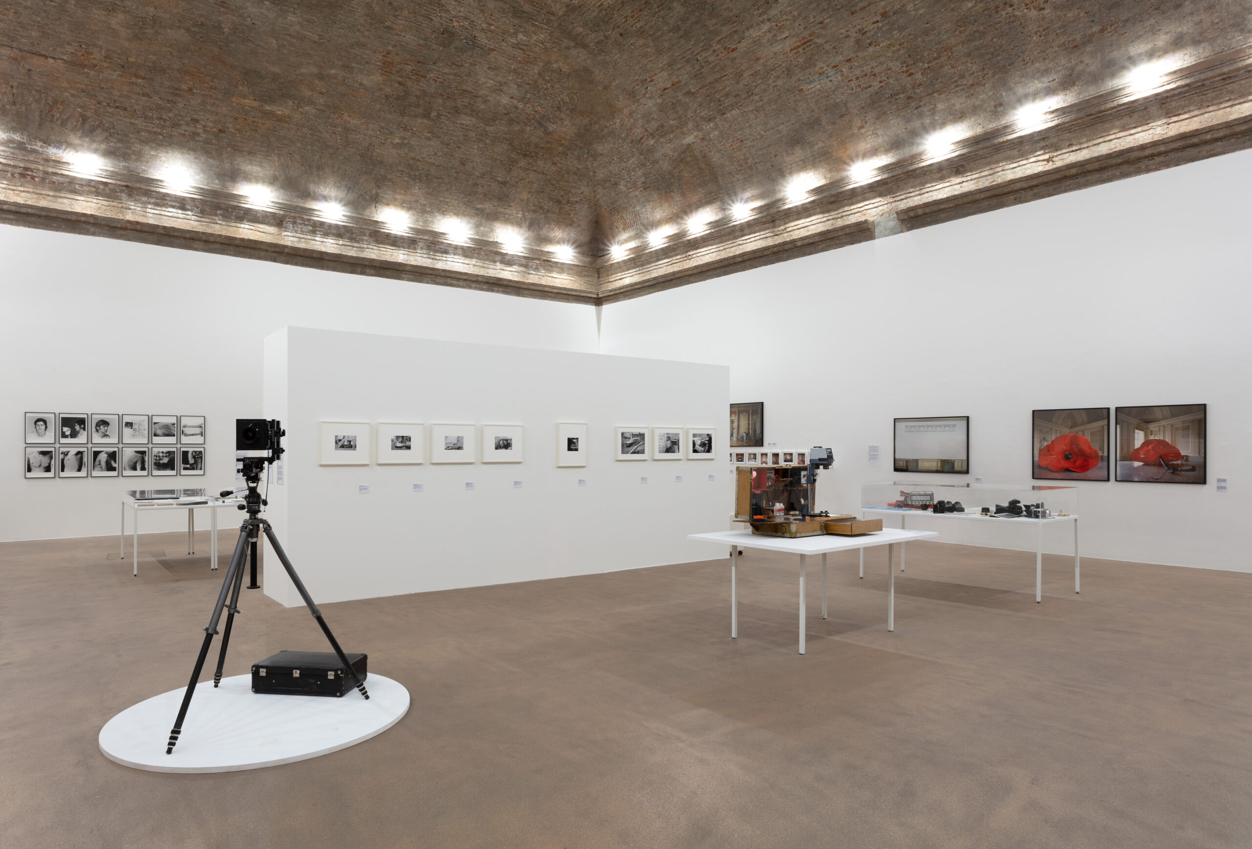 Paolo Pellion di Persano. La semplice storia di un fotografo - Castello ...