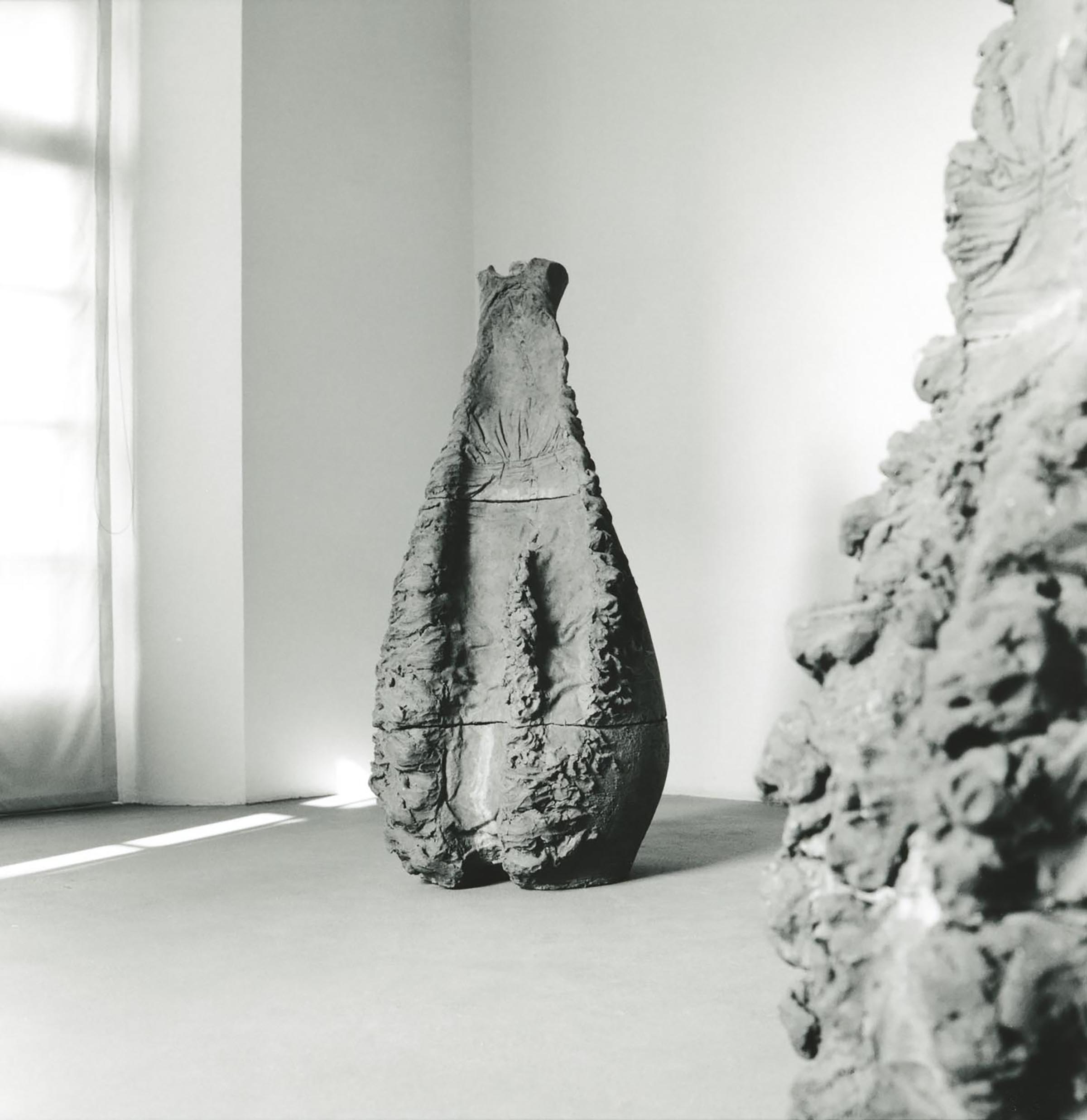 Mostra Giuseppe Penone - Castello di Rivoli